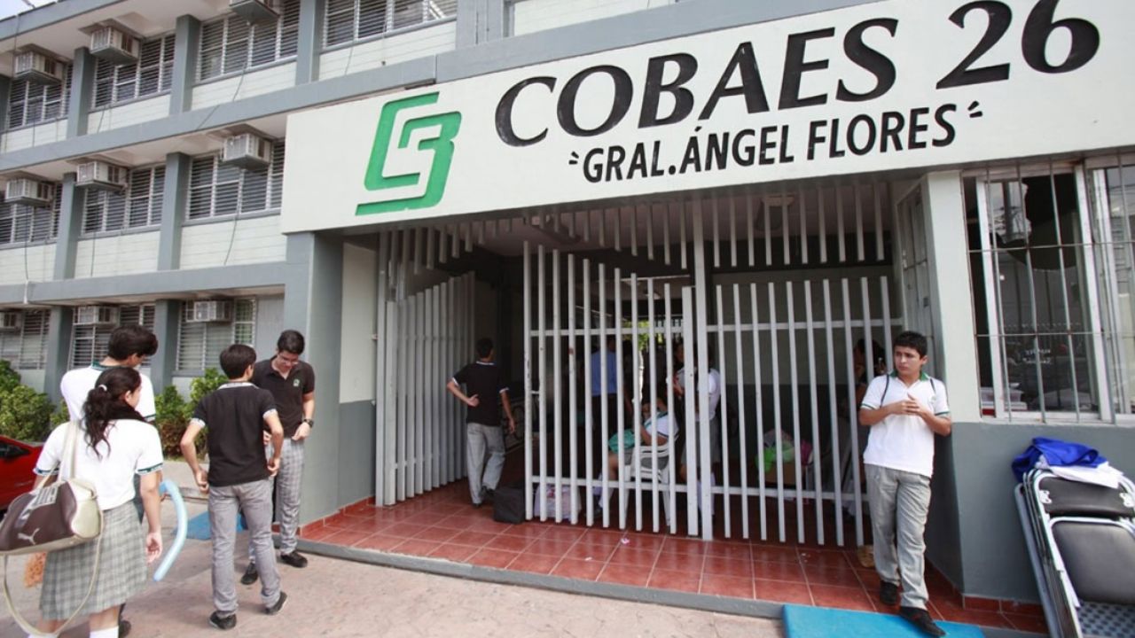 ¿Estudias en el Cobaes? ¡Ojo! Regresarán a clases presenciales el ...